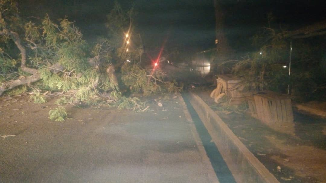 Shearnut Tree Blocks Wa Poly Road after Unstoppable fire Outbreak ...