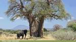 Six Tourist Destination Sites in the Upper West Region You Should See