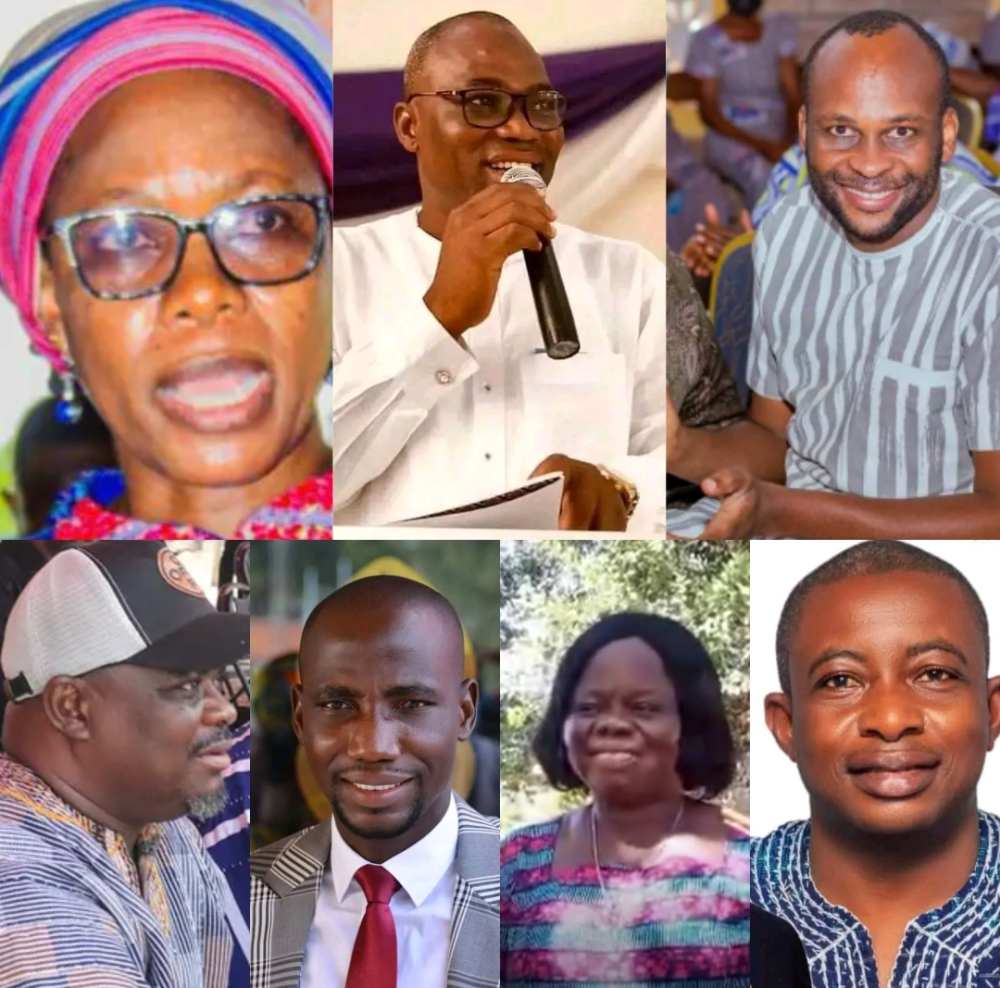 NPP Parliamentary Primaries: How All Seven MMDCE Performed – Upper West ...