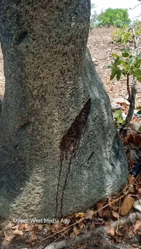 Upper West: The 17th Century Chief that Became a Bleeding Rock [Photos ...