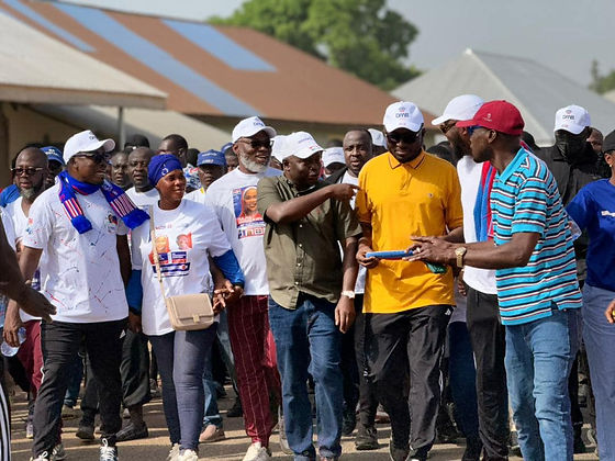 Nadowli-Kaleo: NPP Elections Committee Open Nomination for Constituency ...