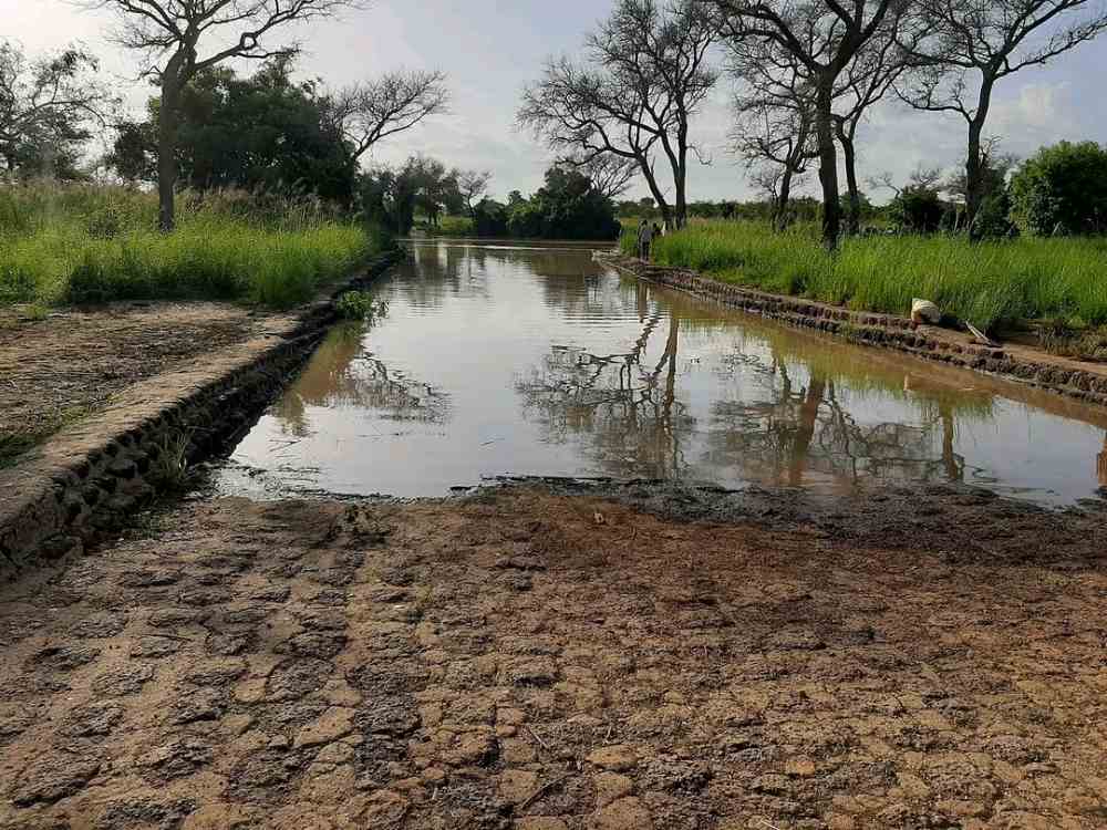 Lawra: 10 SHS Students Feared Dead After Drowning in Dikpe River